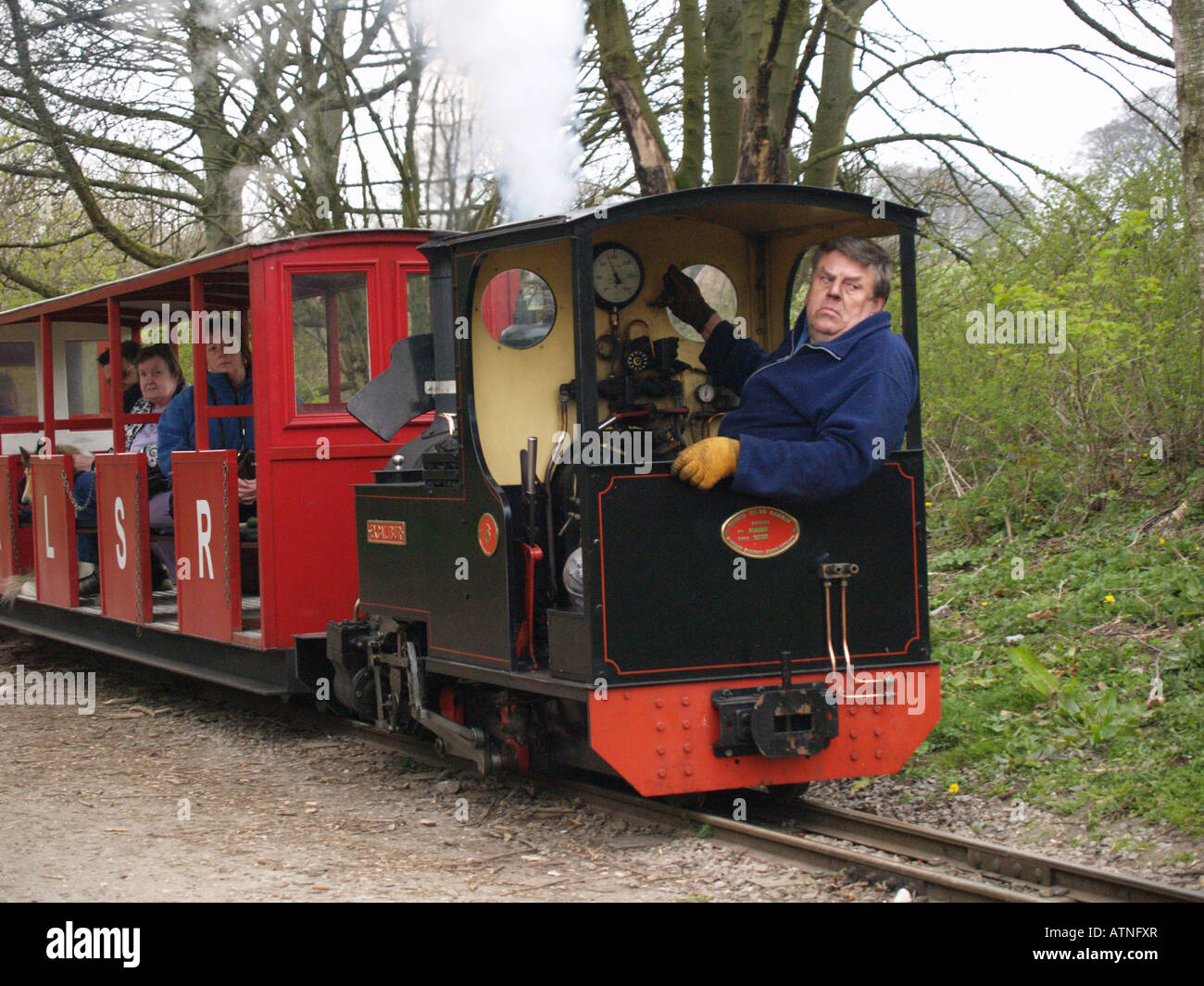 driver working miniature narrow gauge steam train Stock Photo - Alamy