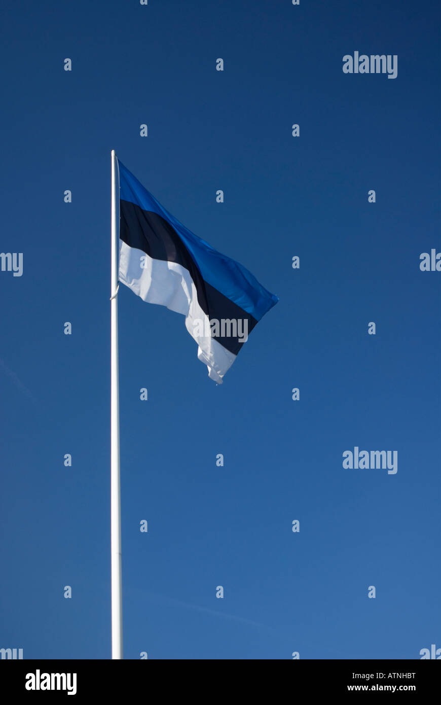Estonian flag on blue background Stock Photo - Alamy