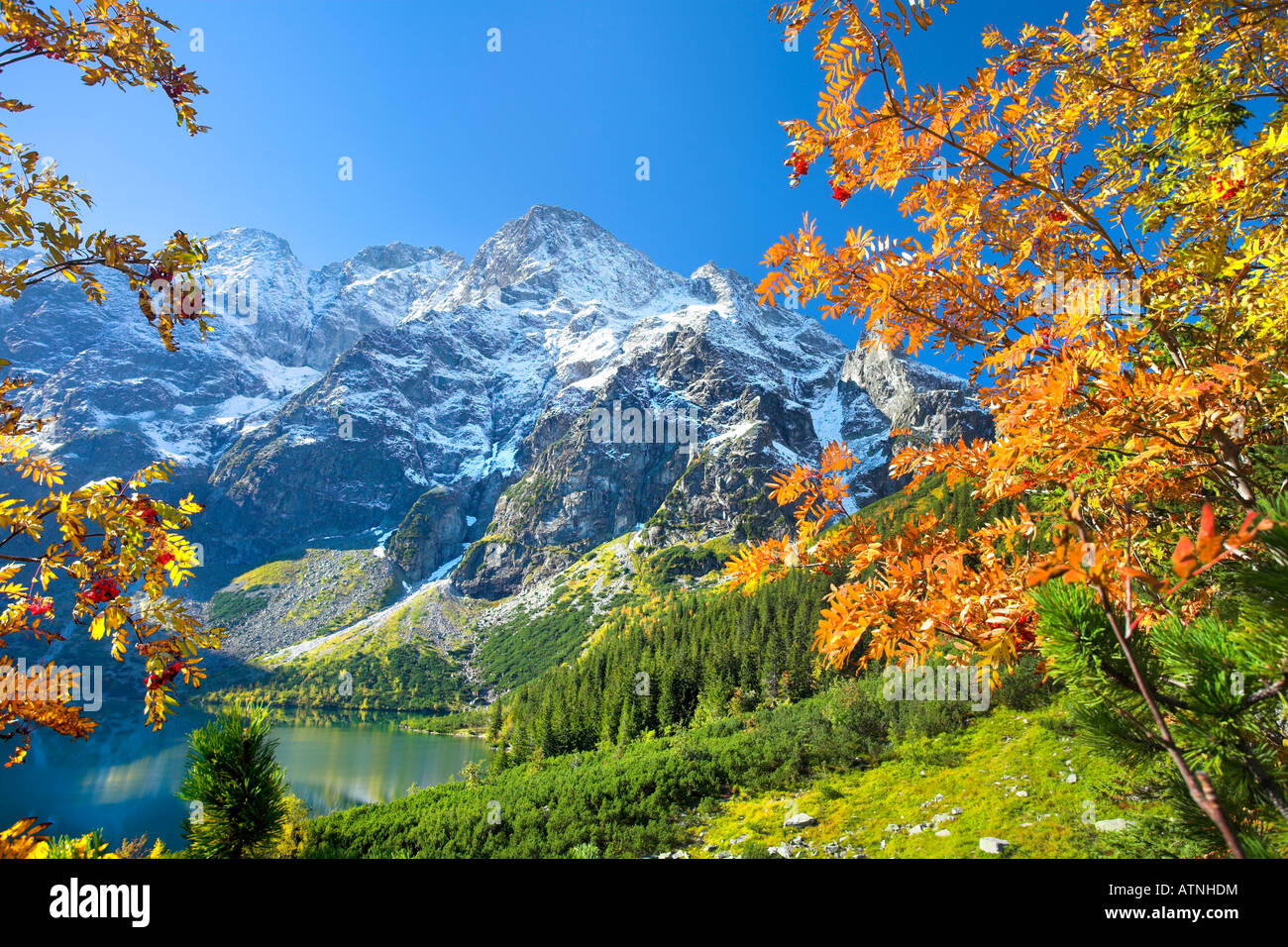 Autumn in Tatra Mountains, Poland Stock Photo - Alamy