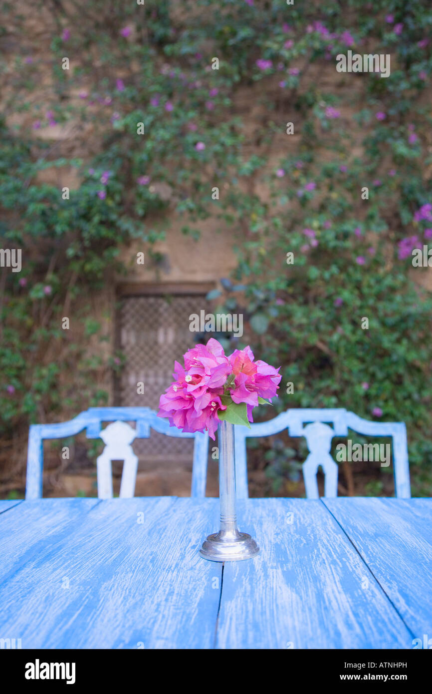 Vase on a dining table Stock Photo - Alamy