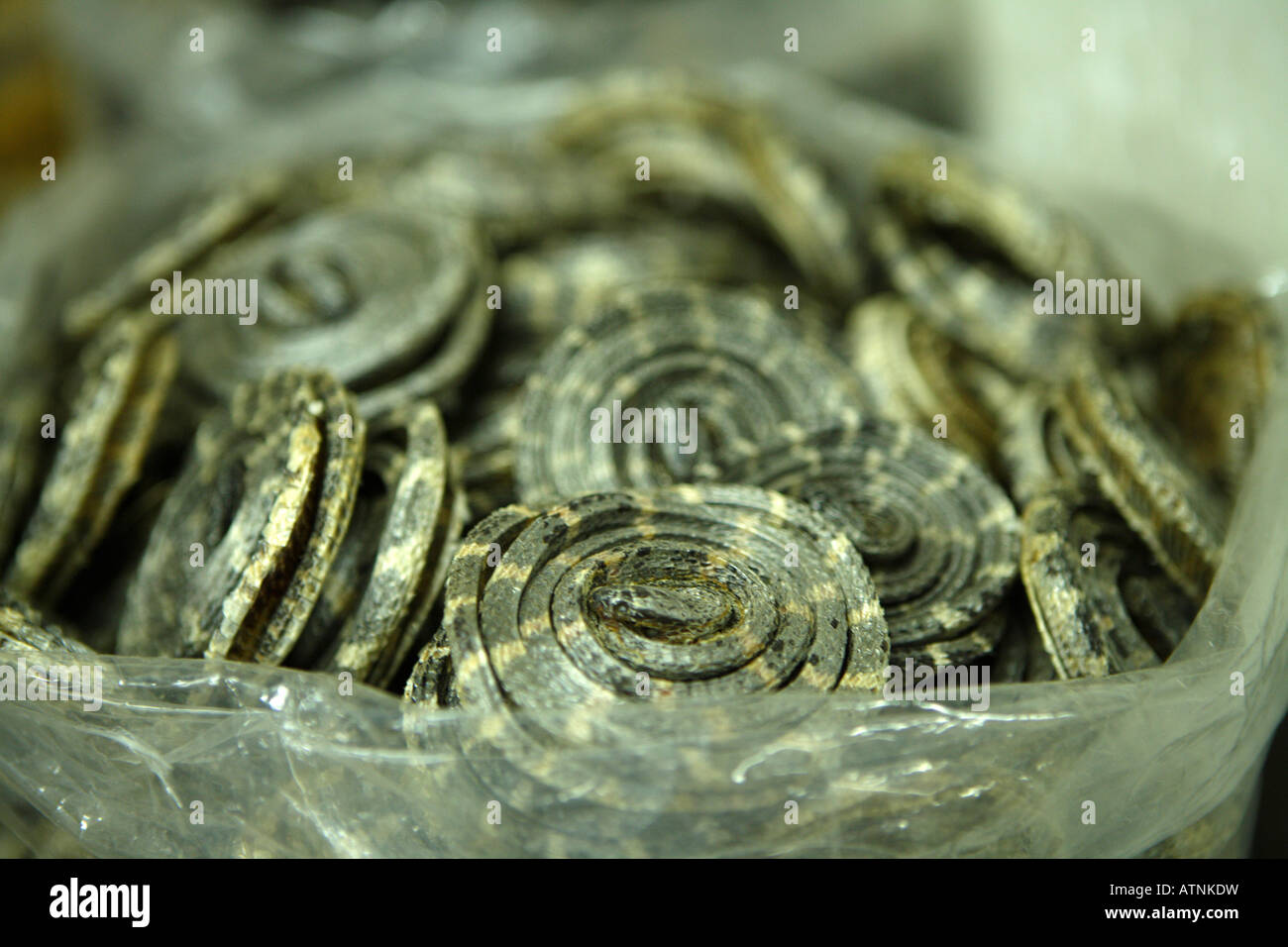 China snake food hi-res stock photography and images - Alamy