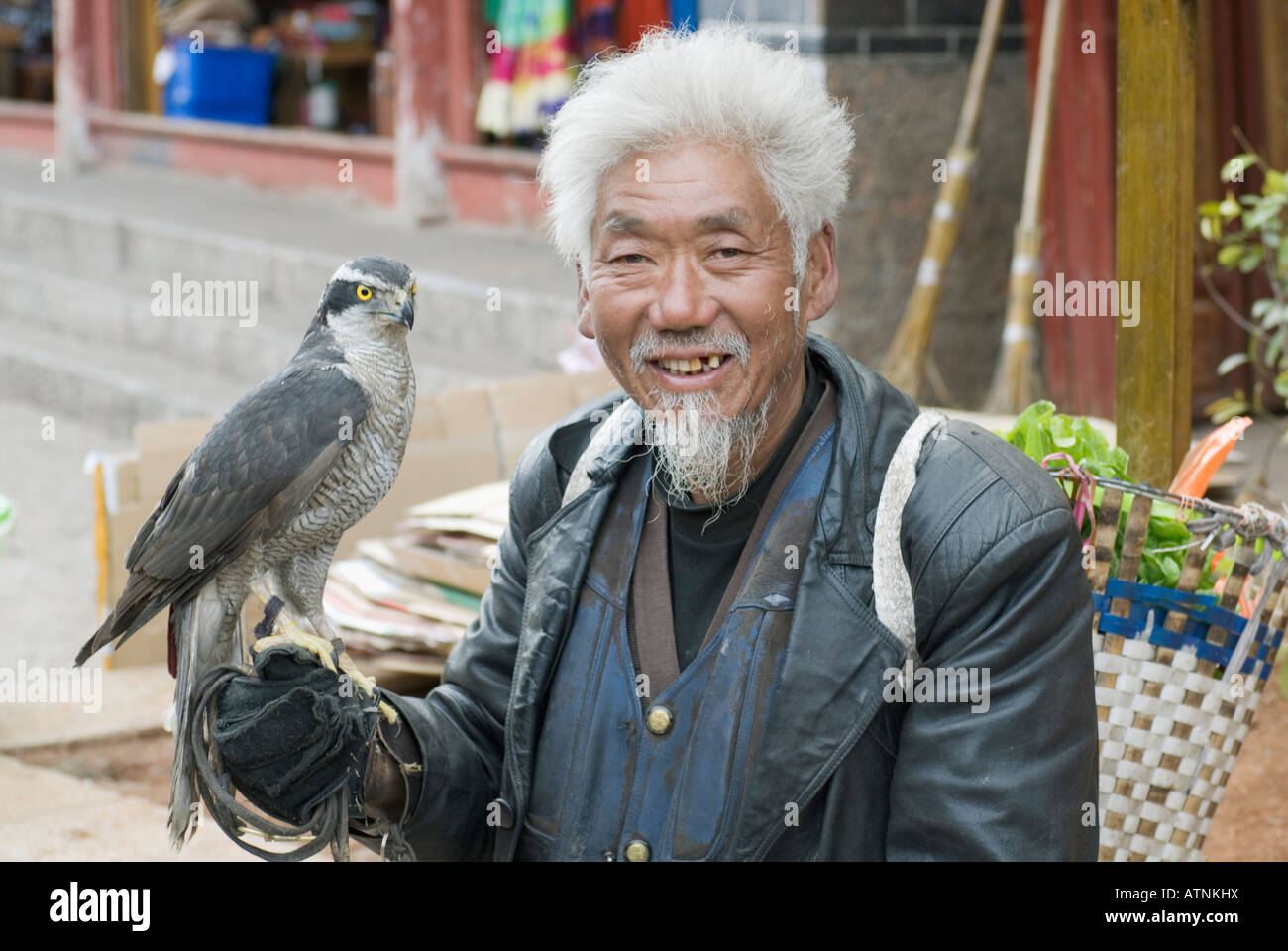 Falcon and falconer hi-res stock photography and images - Alamy