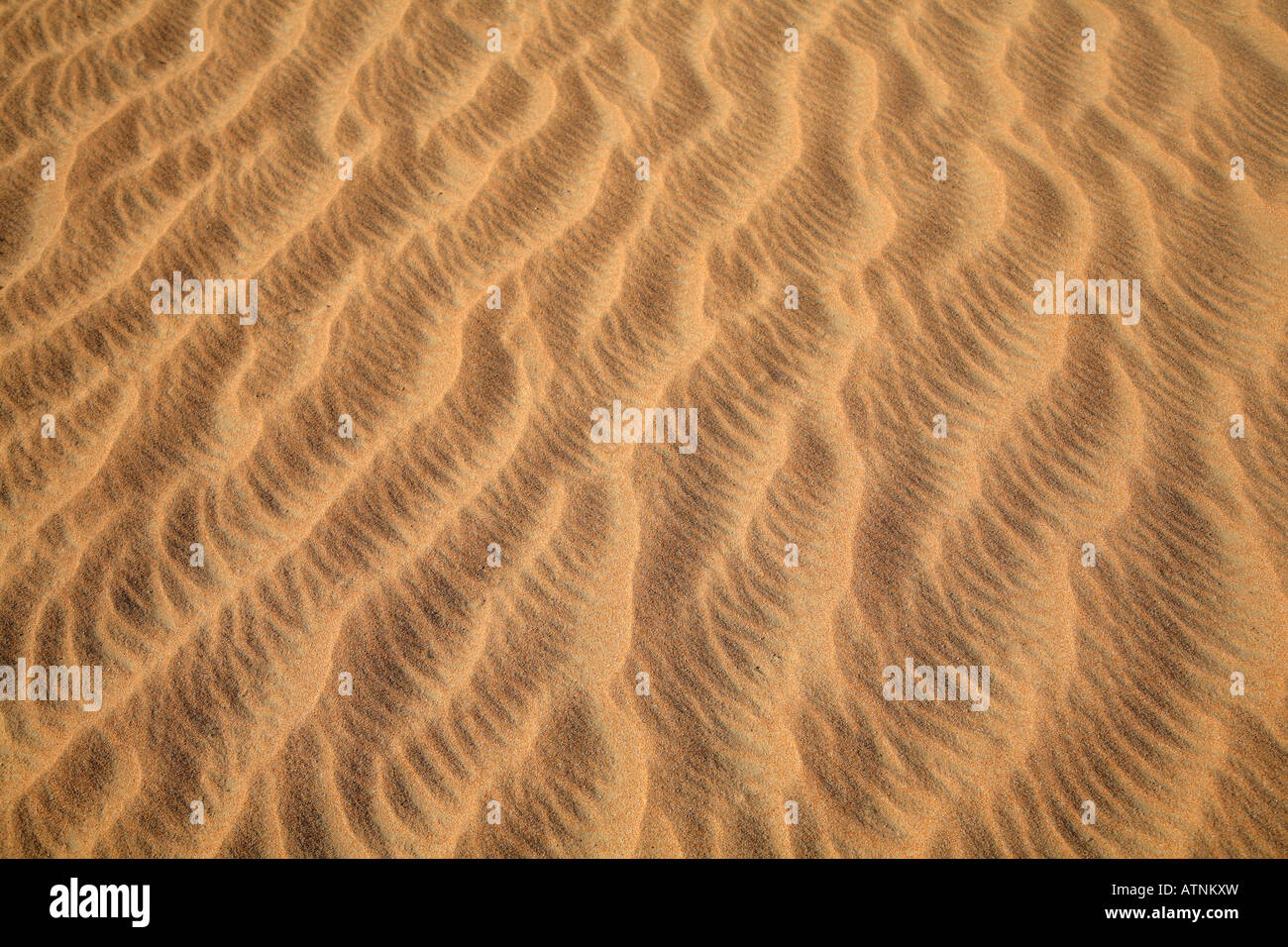 Yellow wave patterns hi-res stock photography and images - Alamy