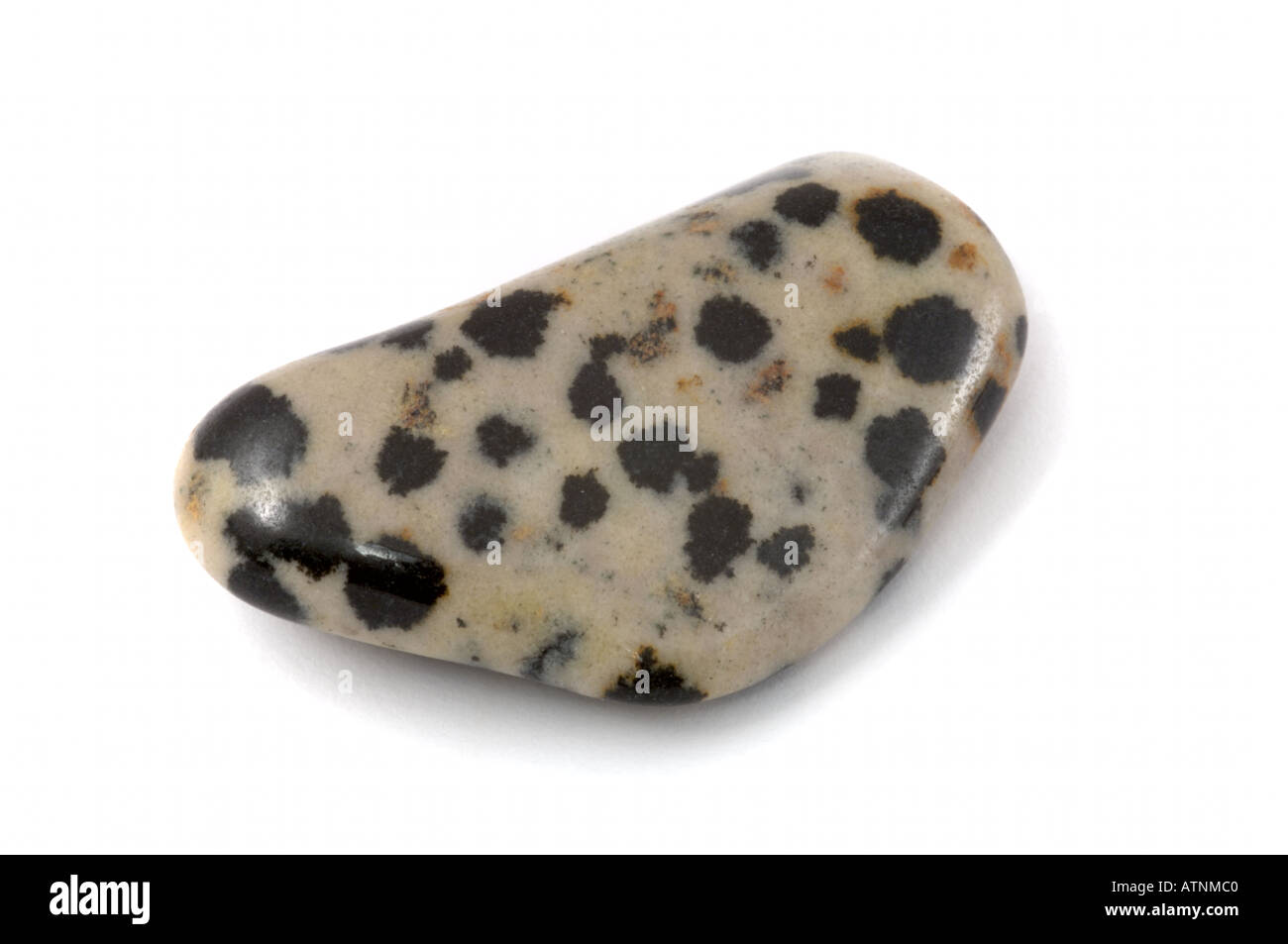 Spotted ground Cut Out Stock Images & Pictures - Alamy