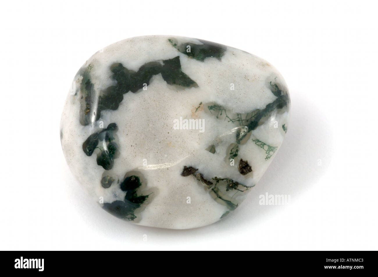Tree agate on white background Stock Photo - Alamy