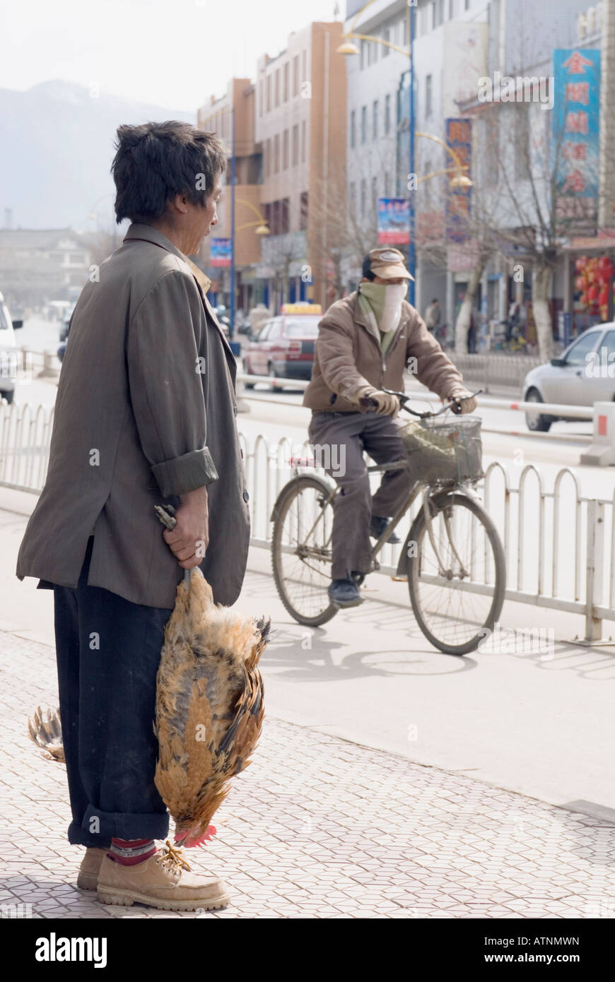 Man carrying chickens hi-res stock photography and images - Alamy