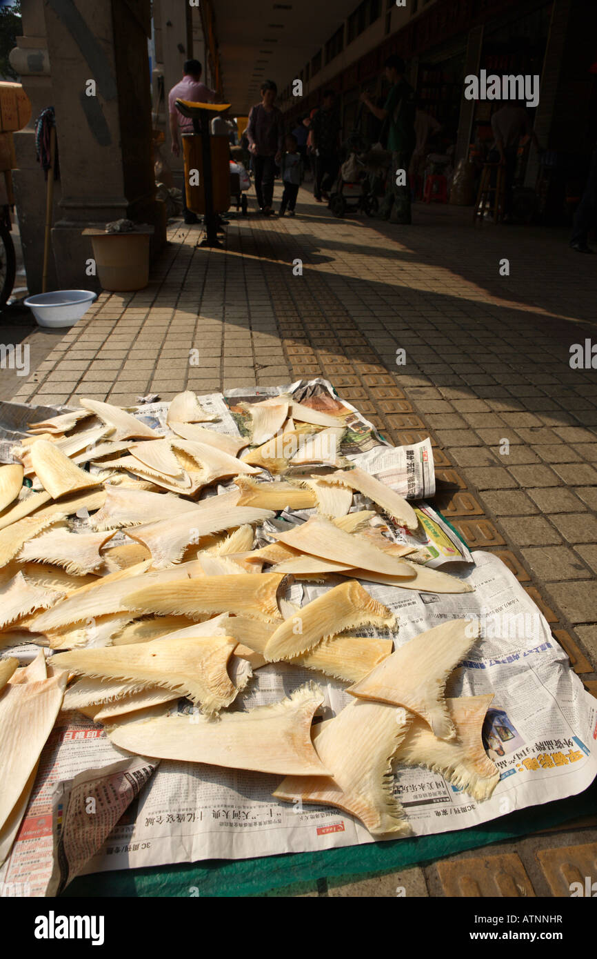 Shark fin china hi-res stock photography and images - Alamy