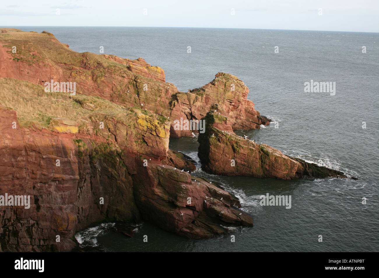 red sandstone rock formations of Seaton Cliffs Angus Scotland February ...