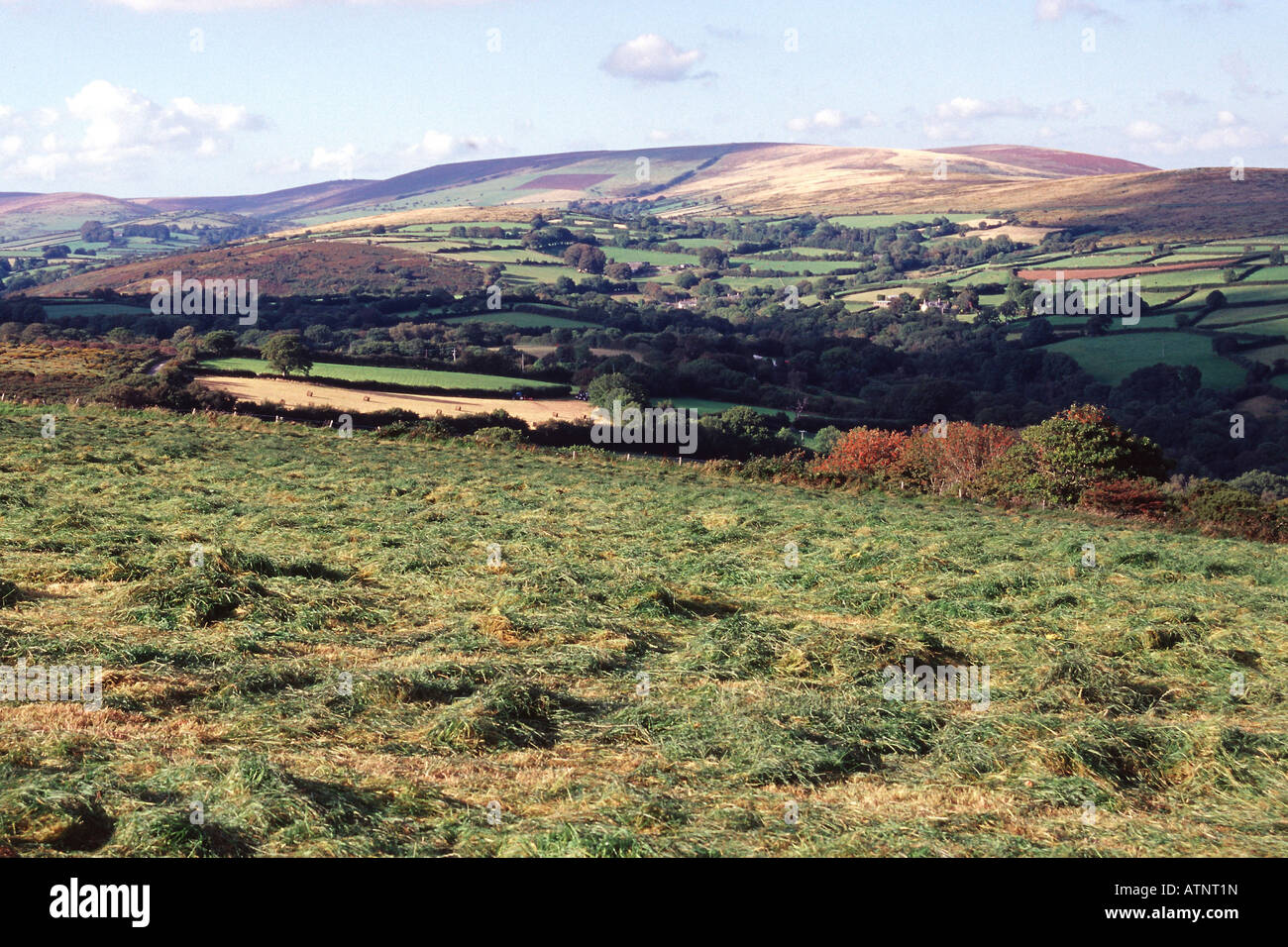 hay making dartmoor national park devon countryside south west country ...