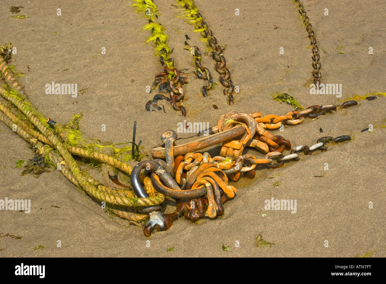 Rusty shackles chains and old seaweed clad ropes partly embedded in ...