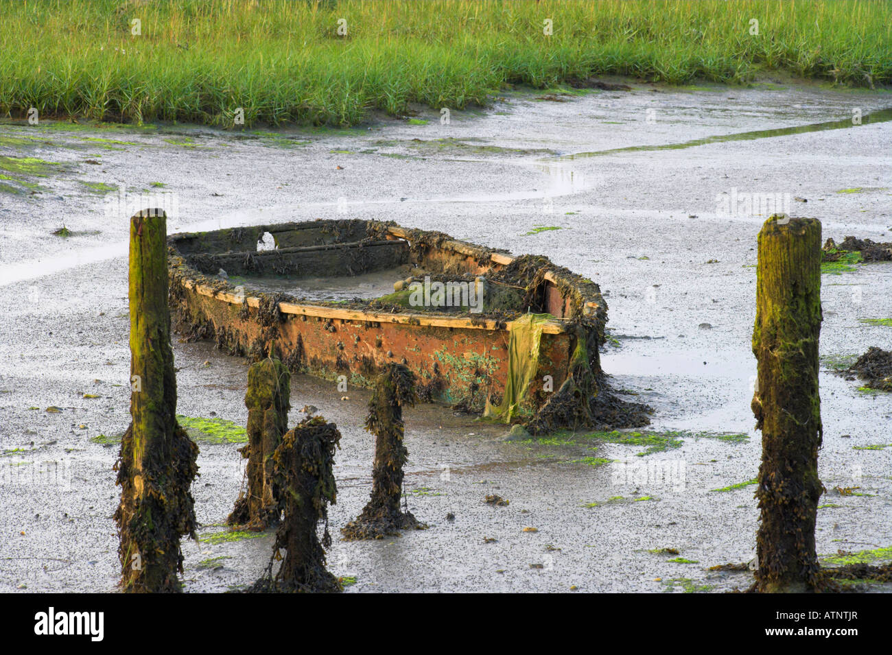 boat wallowing in mud Stock Photo - Alamy