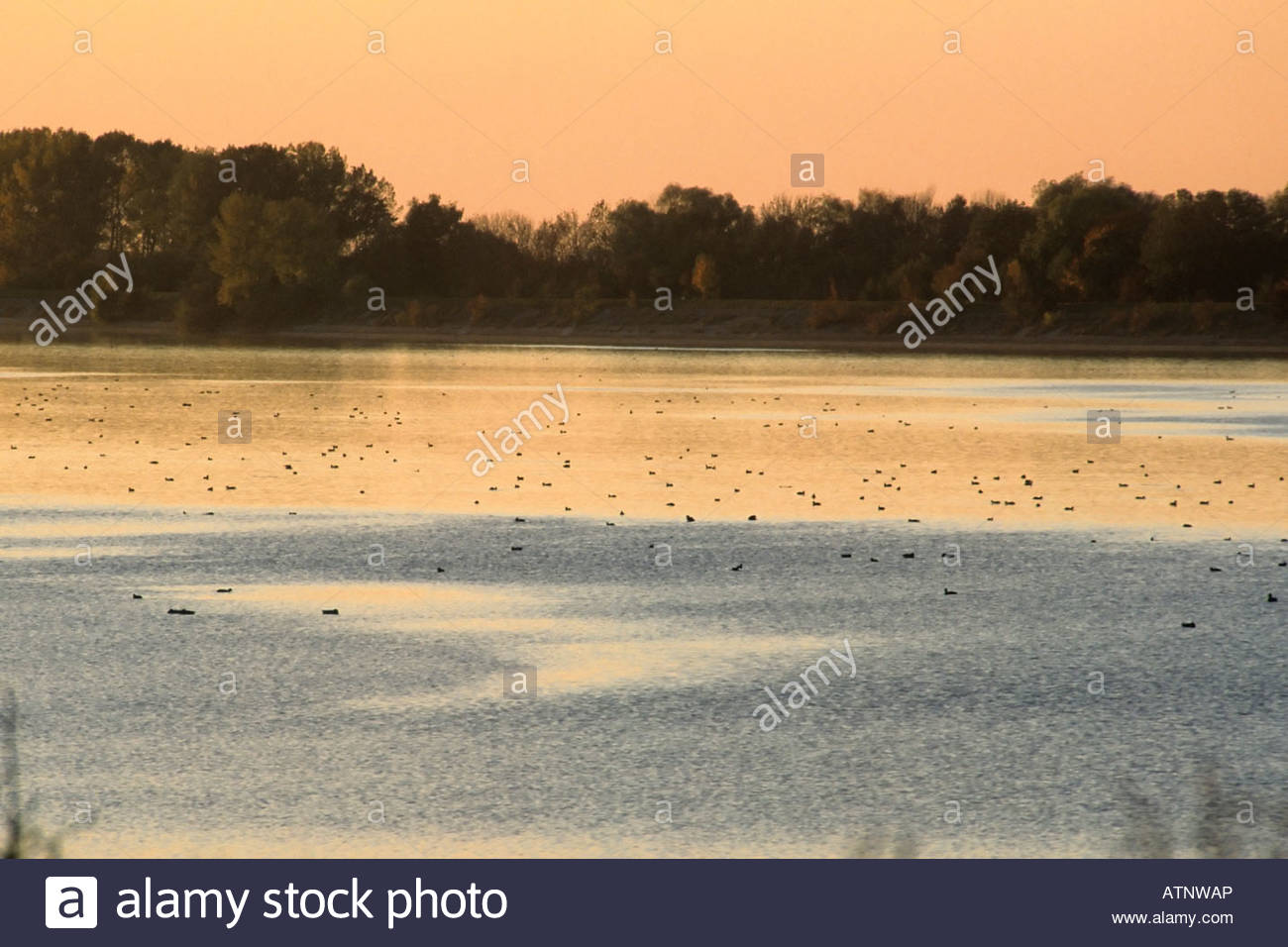 Aschheim High Resolution Stock Photography and Images - Alamy