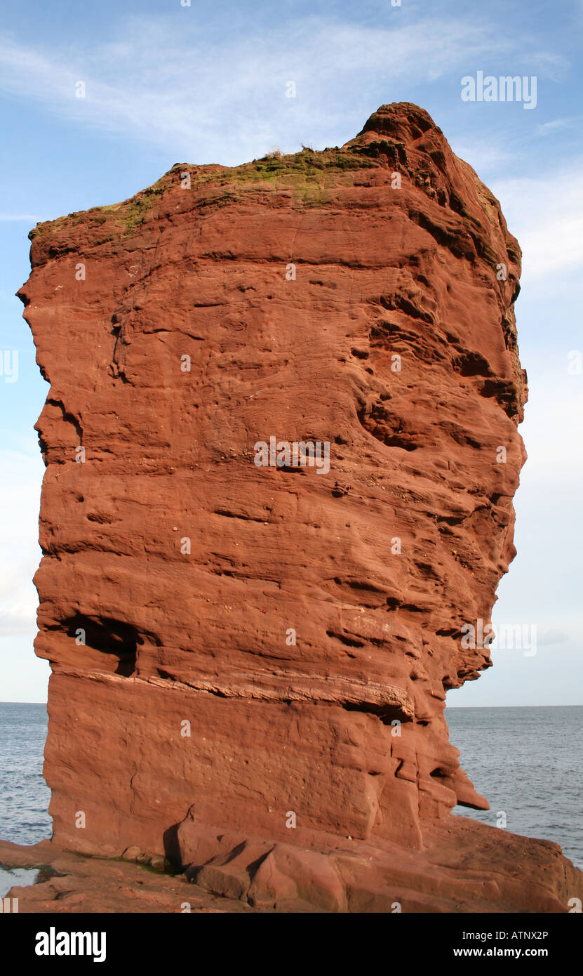 deil's heid red sandstone sea stack Angus Scotland February 2008 Stock ...
