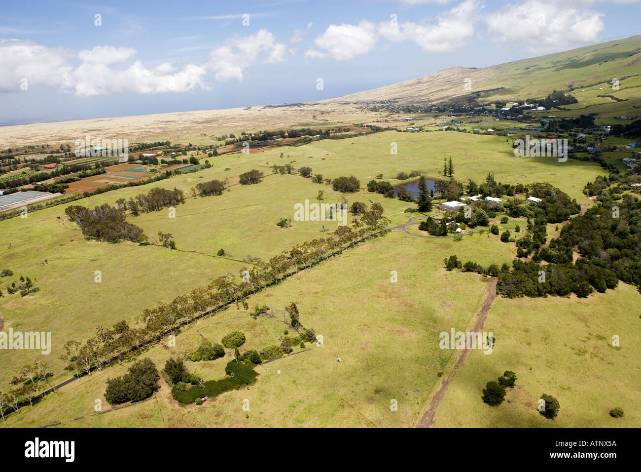 Parker Ranch Hawaii High Resolution Stock Photography and Images - Alamy
