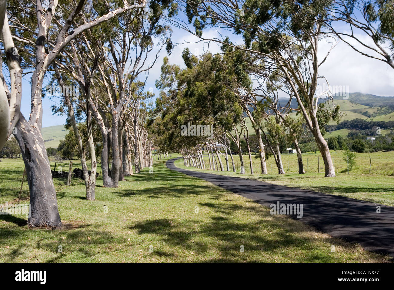 Hawaii Waimea Ranch House Stock Photos & Hawaii Waimea Ranch House ...