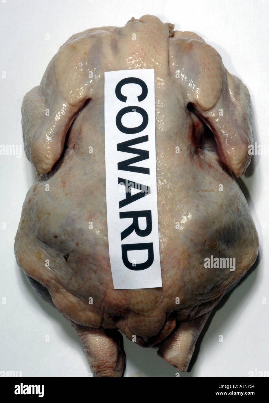 Bird labelled hi-res stock photography and images - Alamy