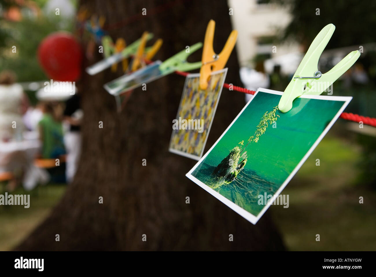 Postcards hanging on a washing line July 2007 Stock Photo - Alamy