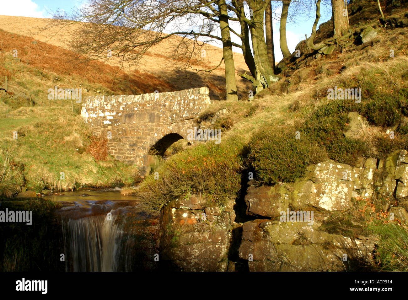 Three shire heads hi-res stock photography and images - Alamy