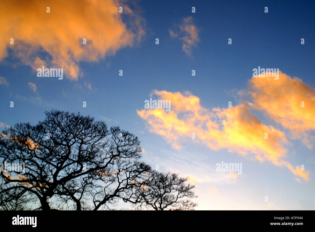 Three shire heads hi-res stock photography and images - Alamy