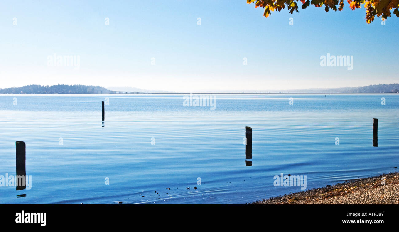 Shore of lake Stock Photo - Alamy