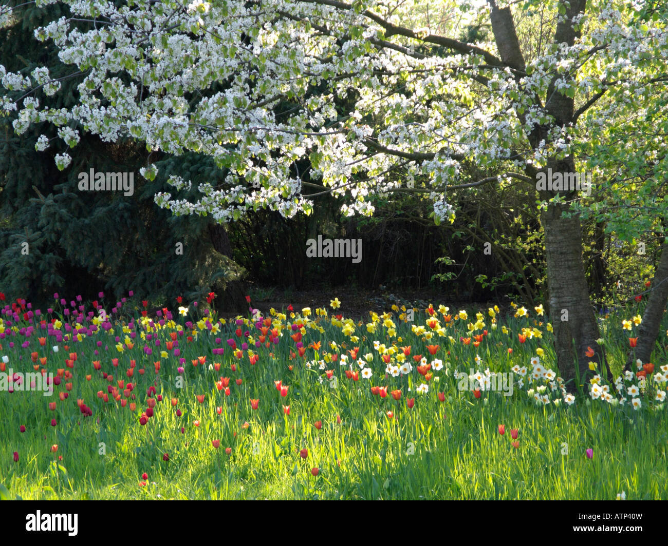 Mixed orchards hi-res stock photography and images - Alamy