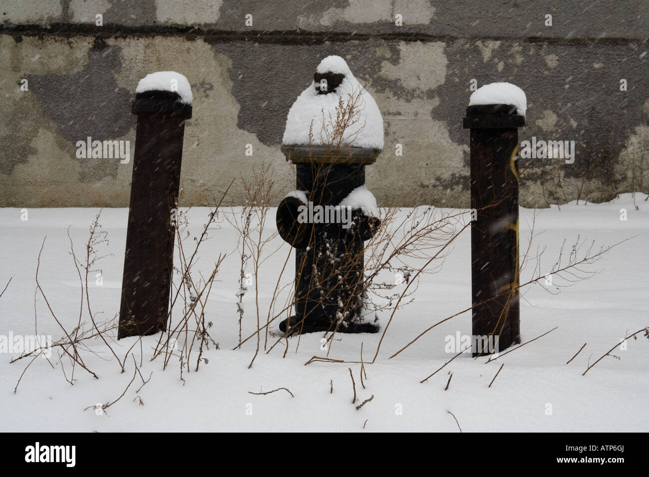 Brooklyn fire hydrant hi-res stock photography and images - Alamy