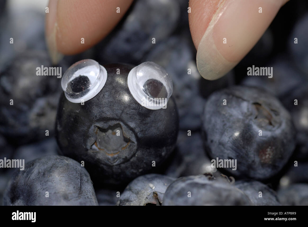 Cartoon blueberry hi-res stock photography and images - Alamy