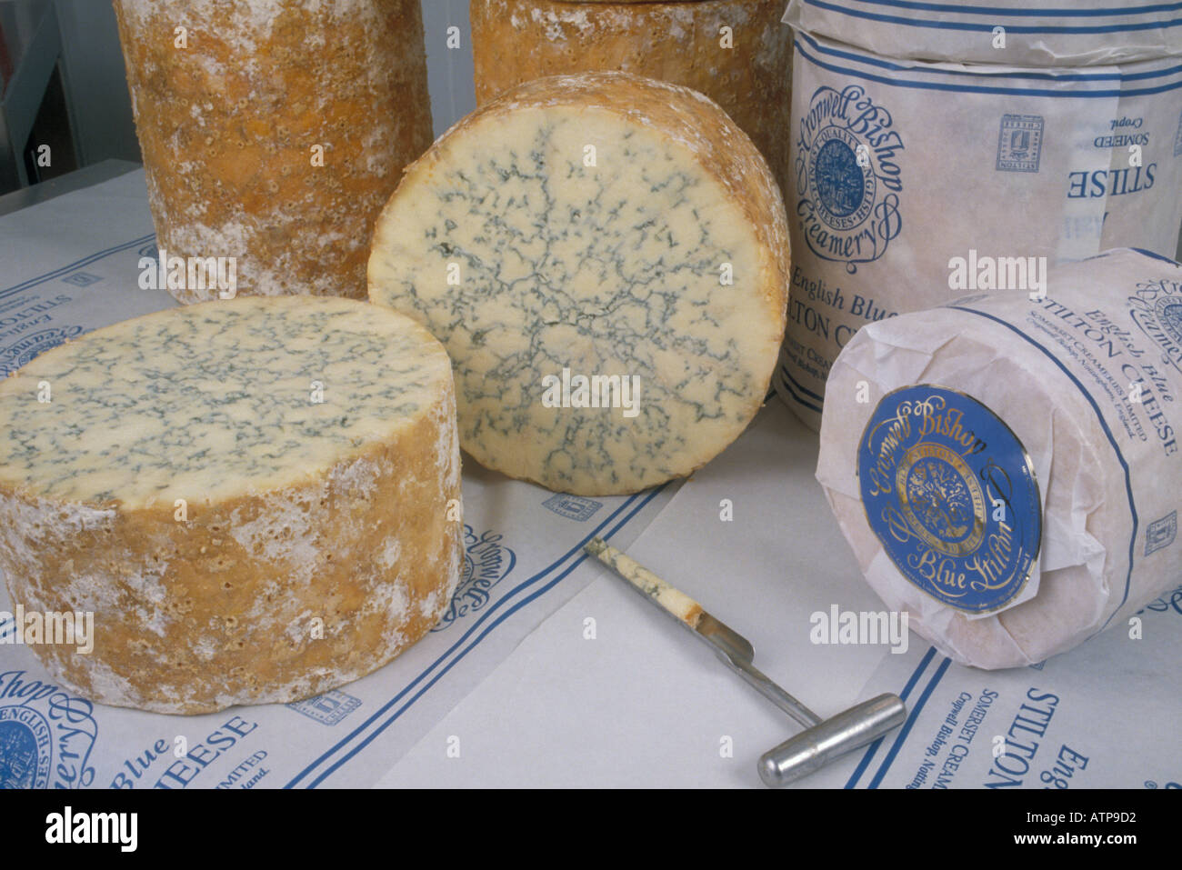 Stilton cheese left to mature in cool, humid conditions in a cold room ...