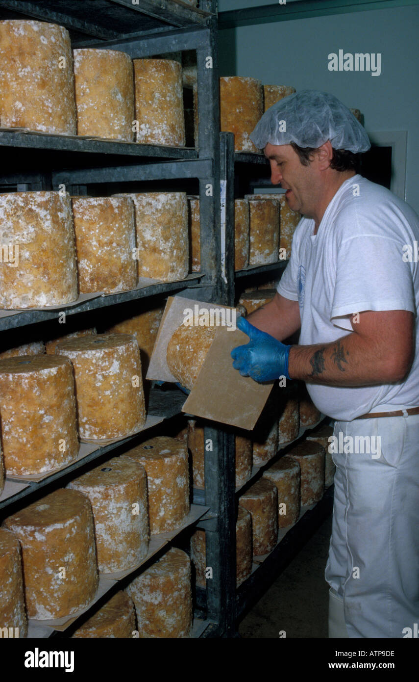 Making stilton cheese hi-res stock photography and images - Alamy