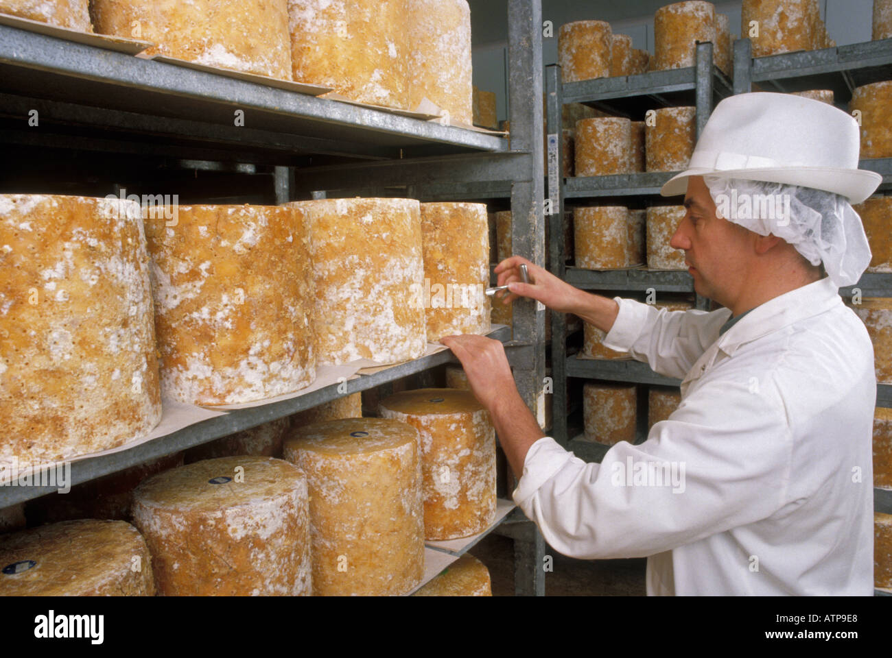 Making stilton cheese hi-res stock photography and images - Alamy