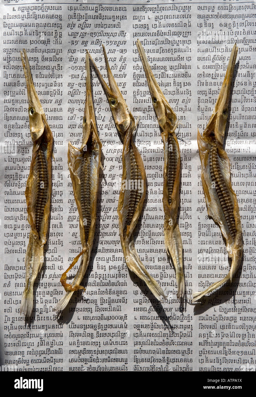 Gar fish hi-res stock photography and images - Alamy