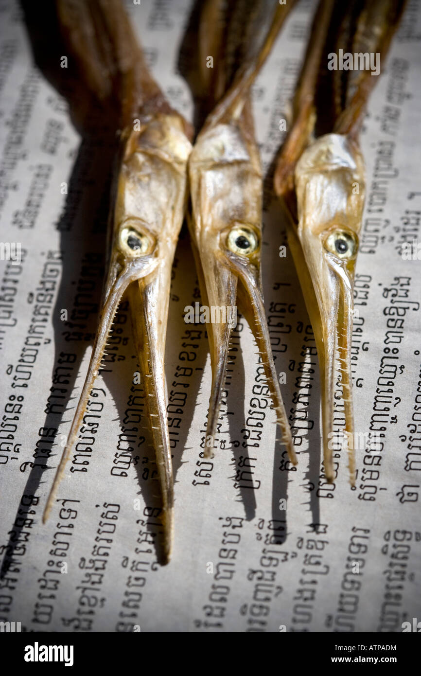Dried Long Nosed Gar Fish Cambodia Stock Photo - Alamy