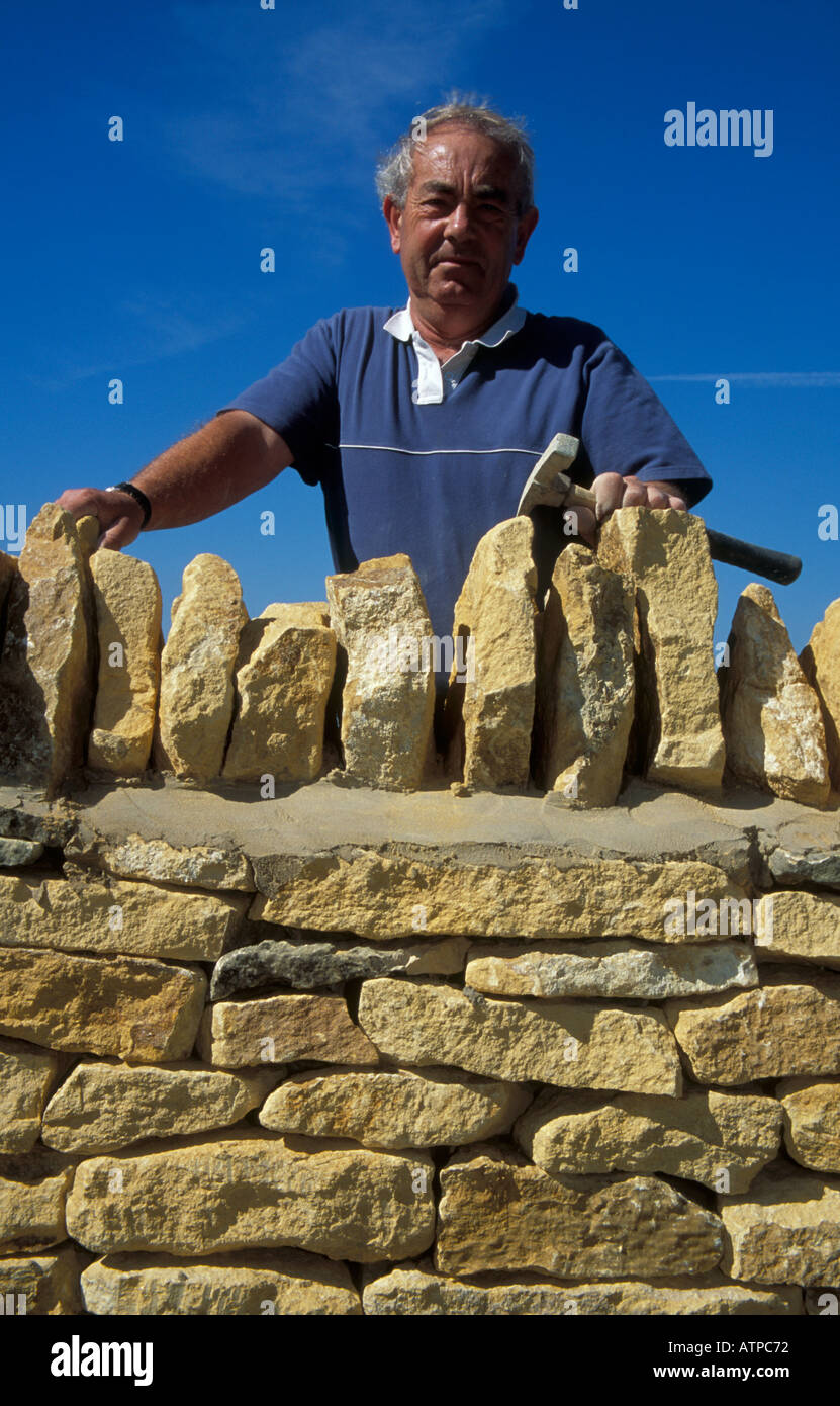 A traditional craftsman building a Dry-stone wall in the cotswolds from ...