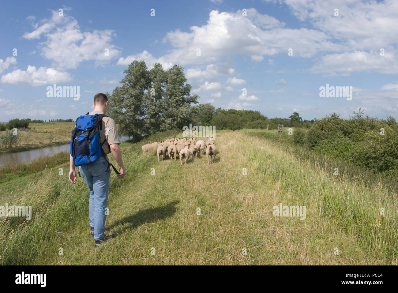 Walking in East Anglia Stock Photo - Alamy