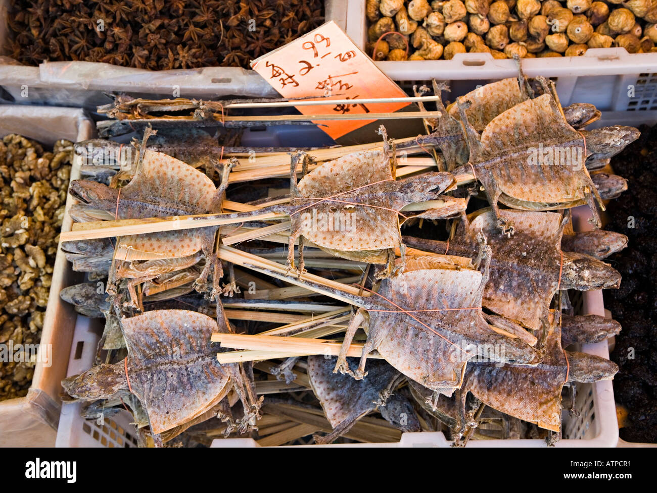 Dried lizards stretched on sticks on sale in food store Chinatown ...