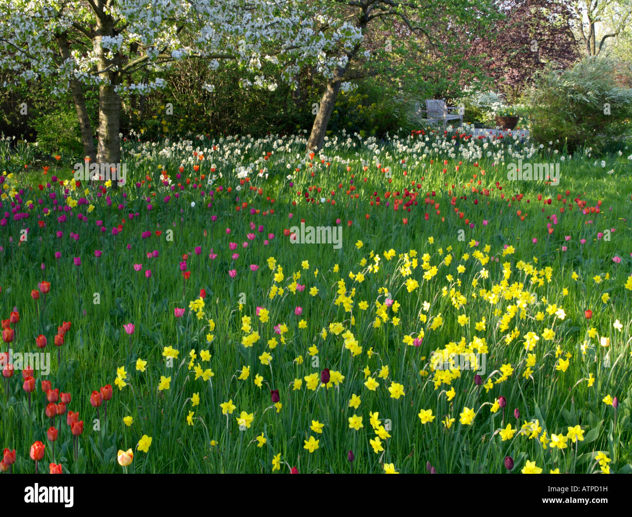 Mixed orchards hi-res stock photography and images - Alamy