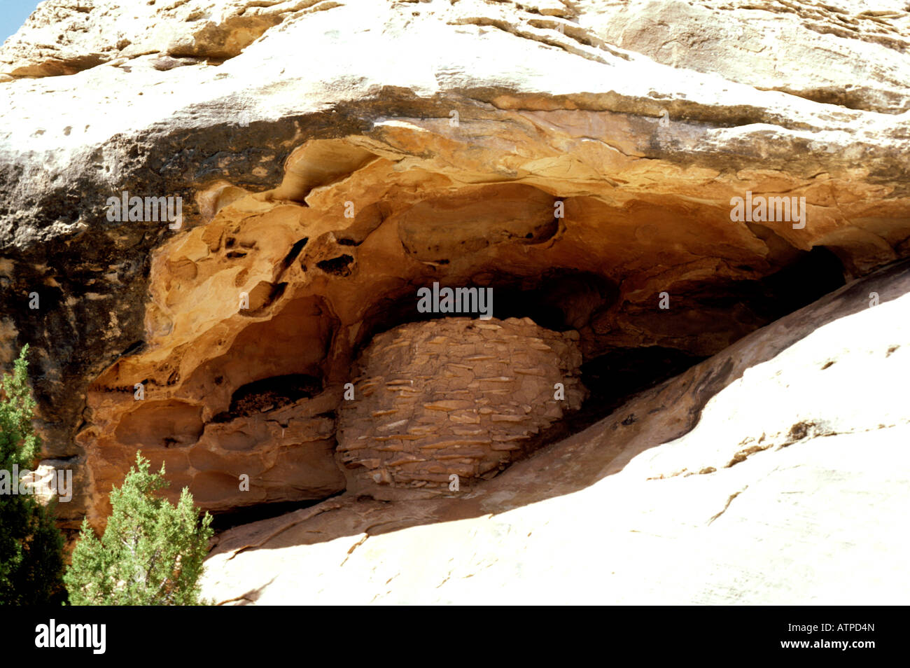 UT Utah Canyonlands National Park Indian grainary Indian granary Stock ...