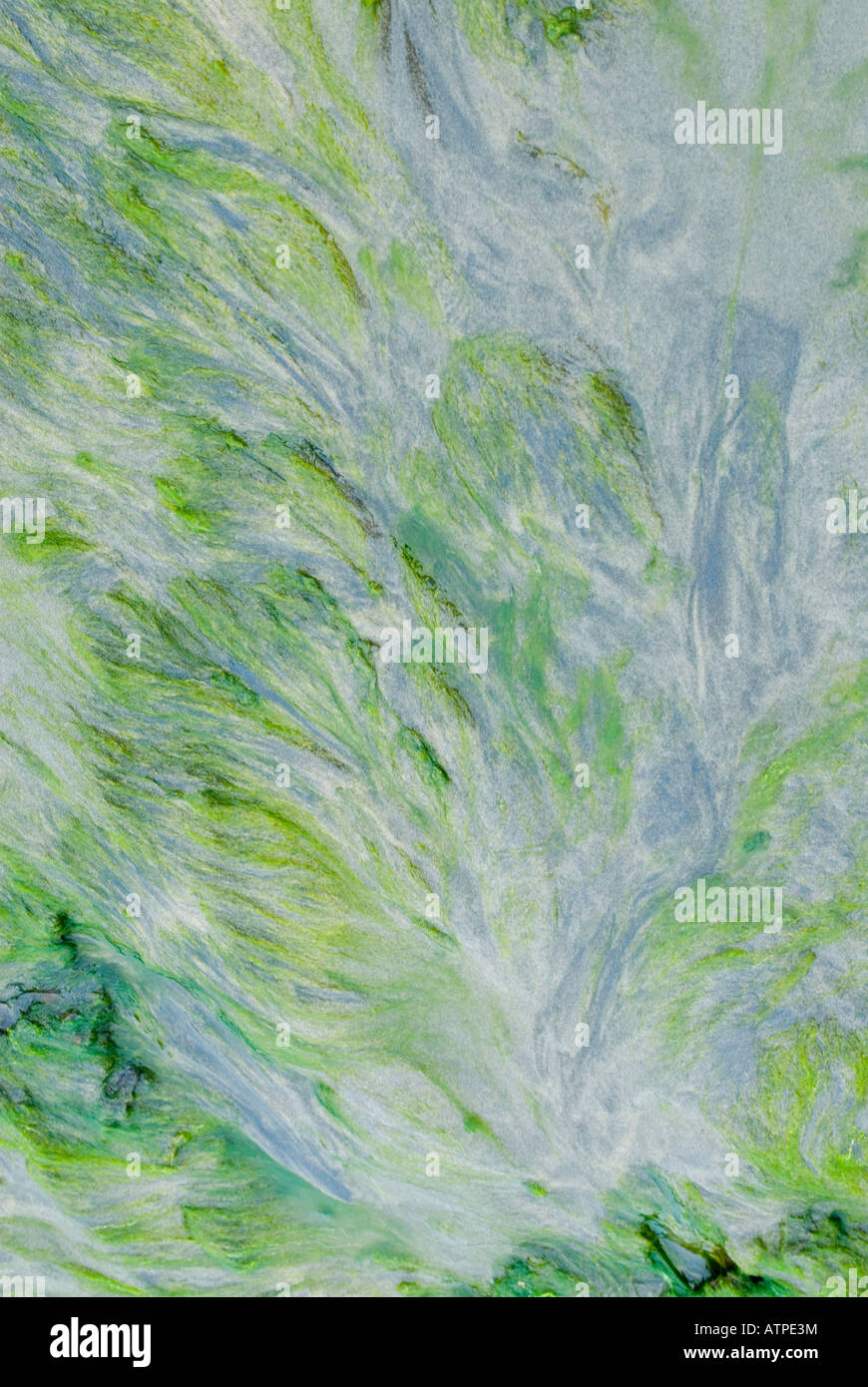 Close-up of a landscape Stock Photo - Alamy