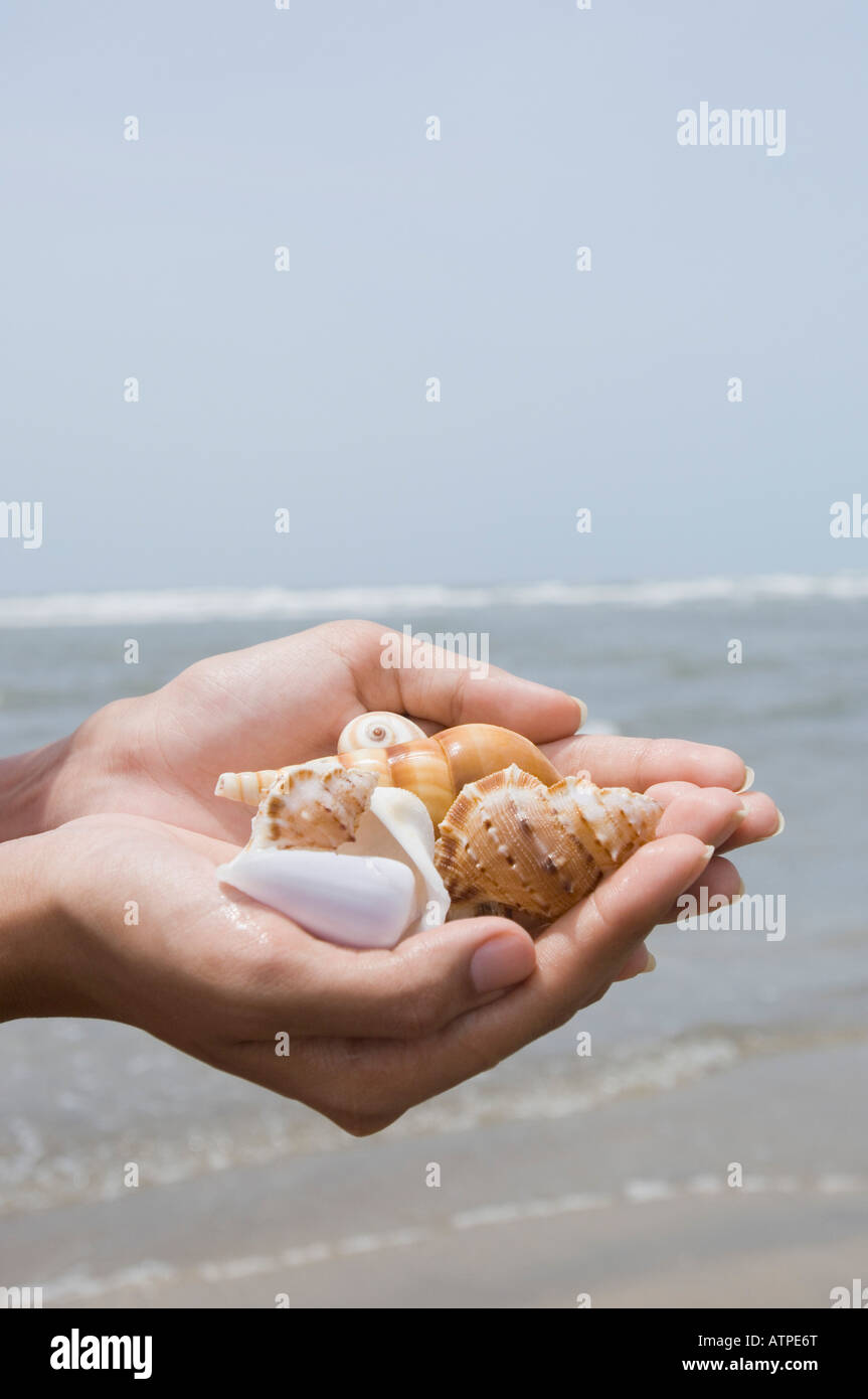 Hands Holding Shells High Resolution Stock Photography and Images - Alamy