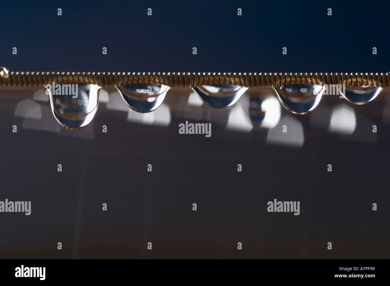 Close-up of water drops on a string Stock Photo - Alamy