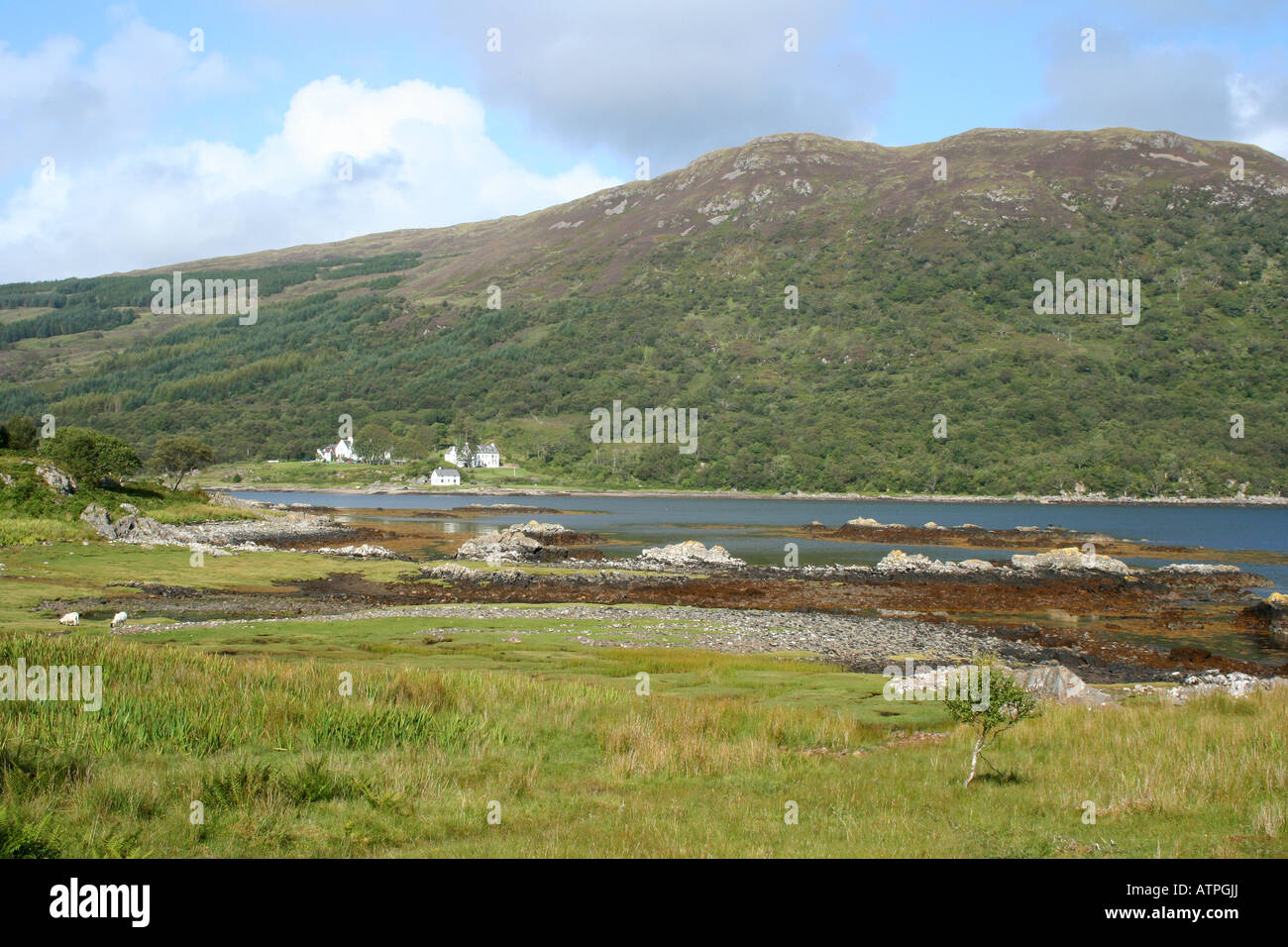 Celtic landscape of Isle of Sky, Scotland Stock Photo - Alamy