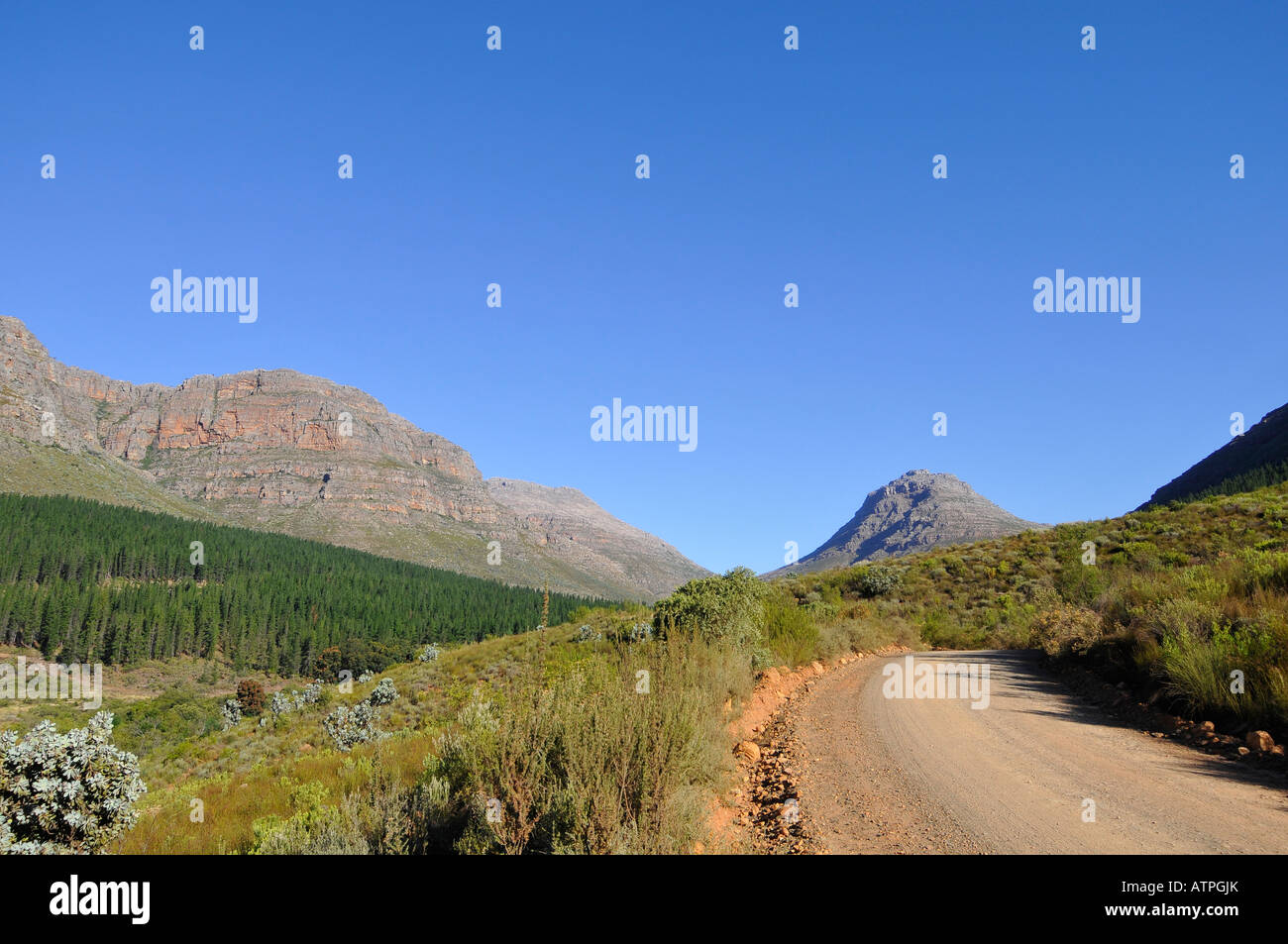 The Cederberg Wilderness Area in the Western Cape of South Africa Stock ...