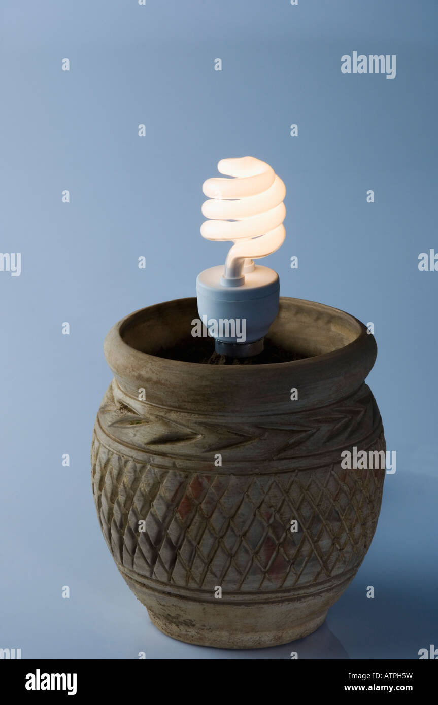 Close-up of a lit energy efficient light bulb in a pot Stock Photo - Alamy