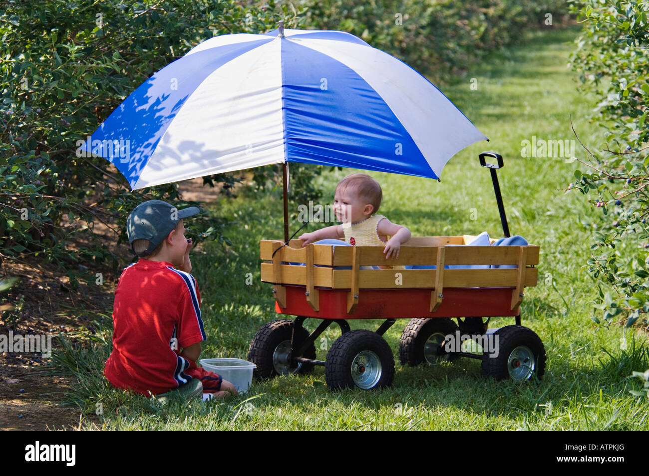 Little red wagon hi-res stock photography and images - Alamy