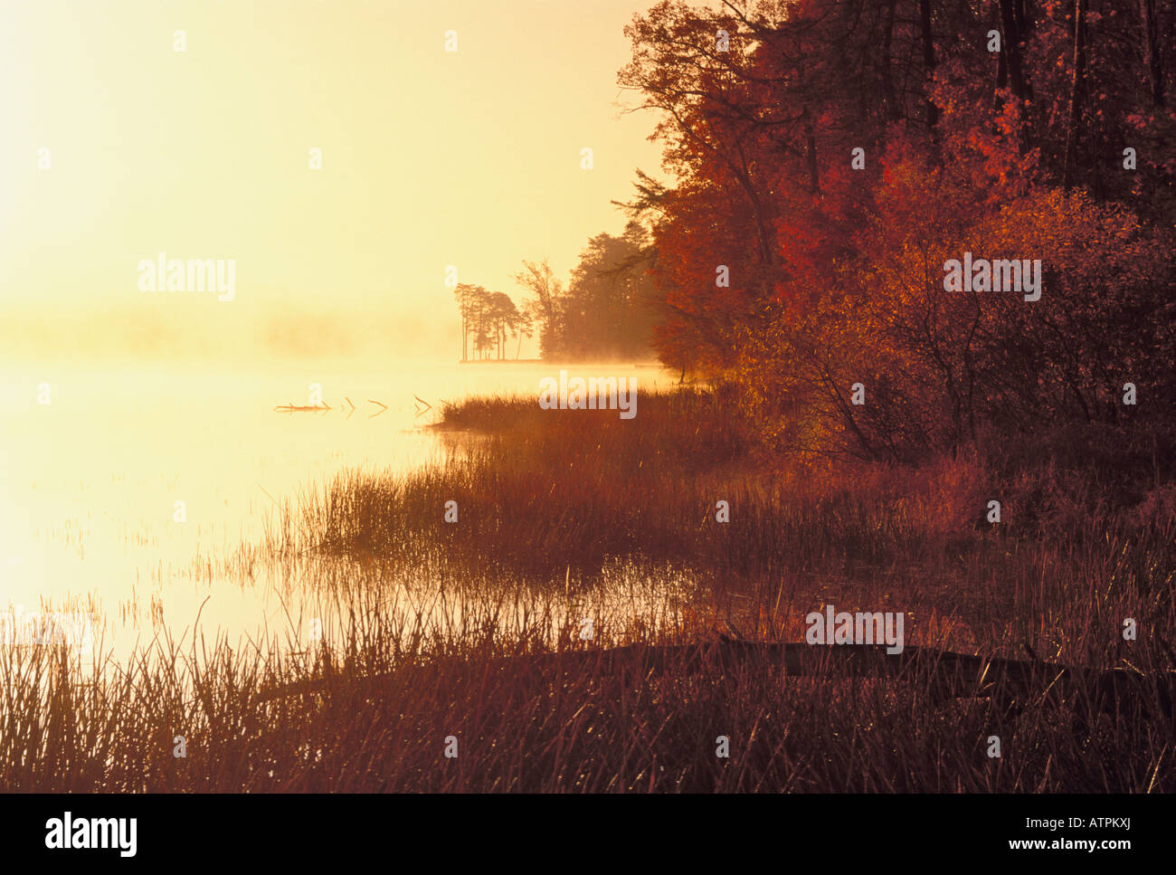 Misty Autumn Morning on Deam Lake at Deam Lake State Recreation Area ...