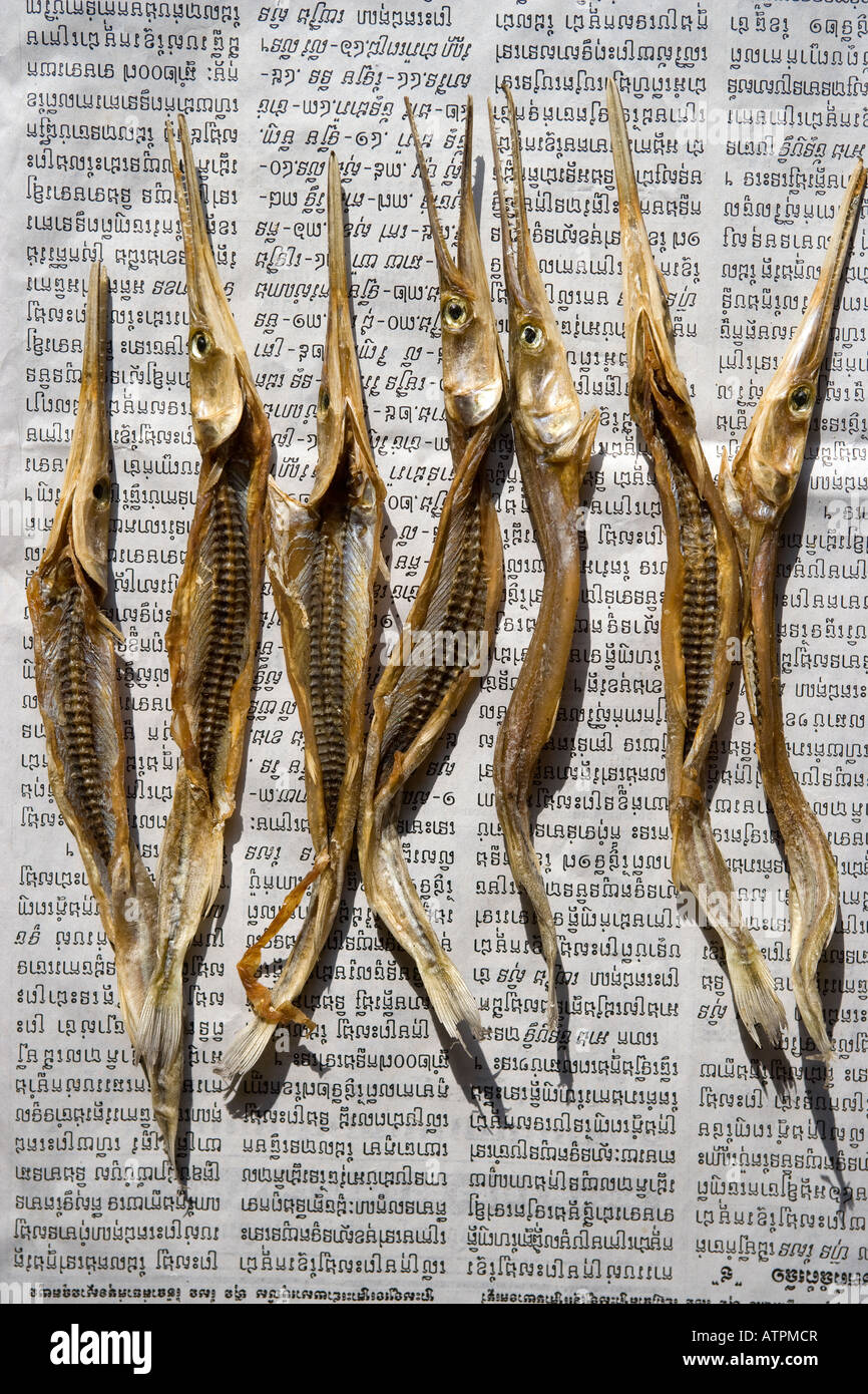 Long nosed gar fish hi-res stock photography and images - Alamy