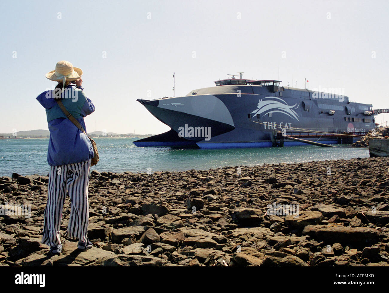 Devil cat hi-res stock photography and images - Alamy