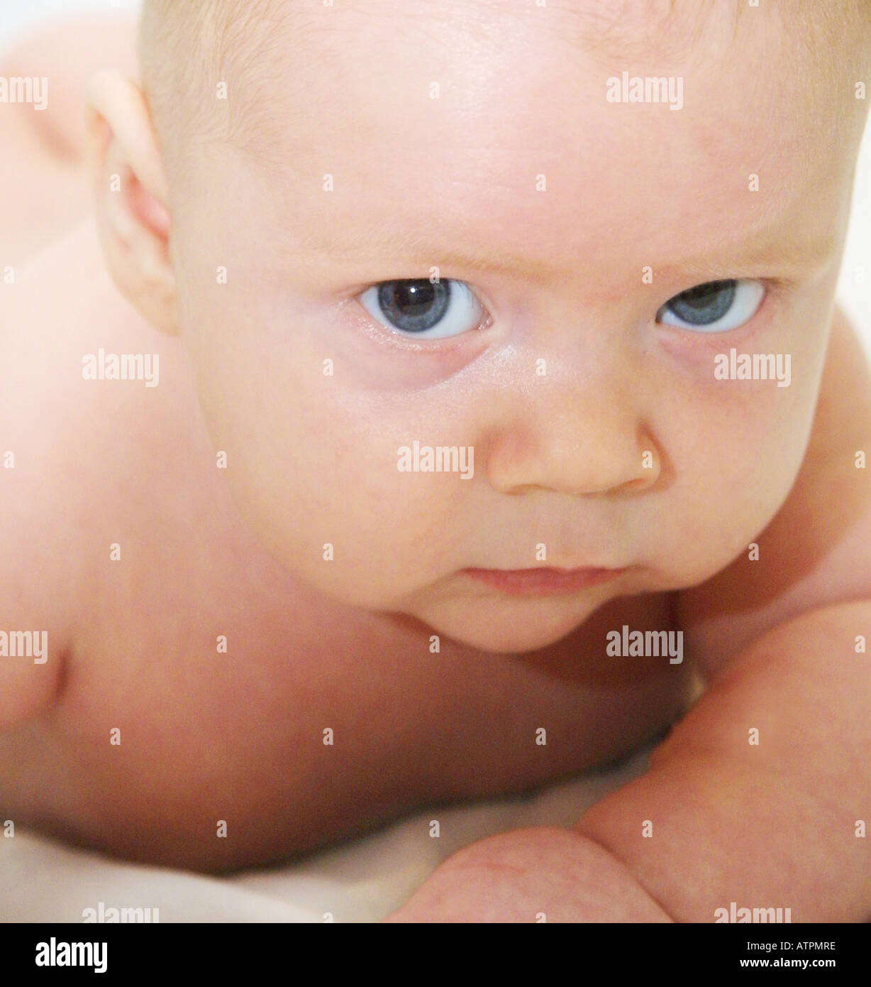 Diffident hi-res stock photography and images - Alamy