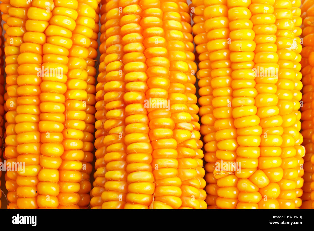A macro of yellow fresh sweet corn background Stock Photo - Alamy