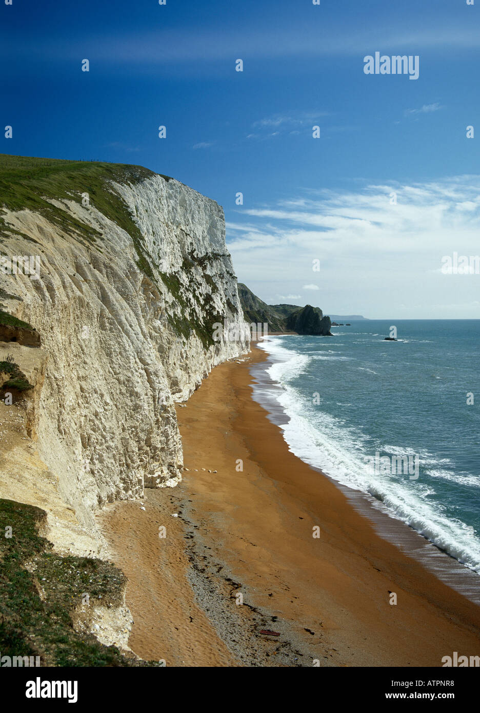 Chalk cliffs of the Jurassic coast near Lulworth Dorset Stock Photo - Alamy
